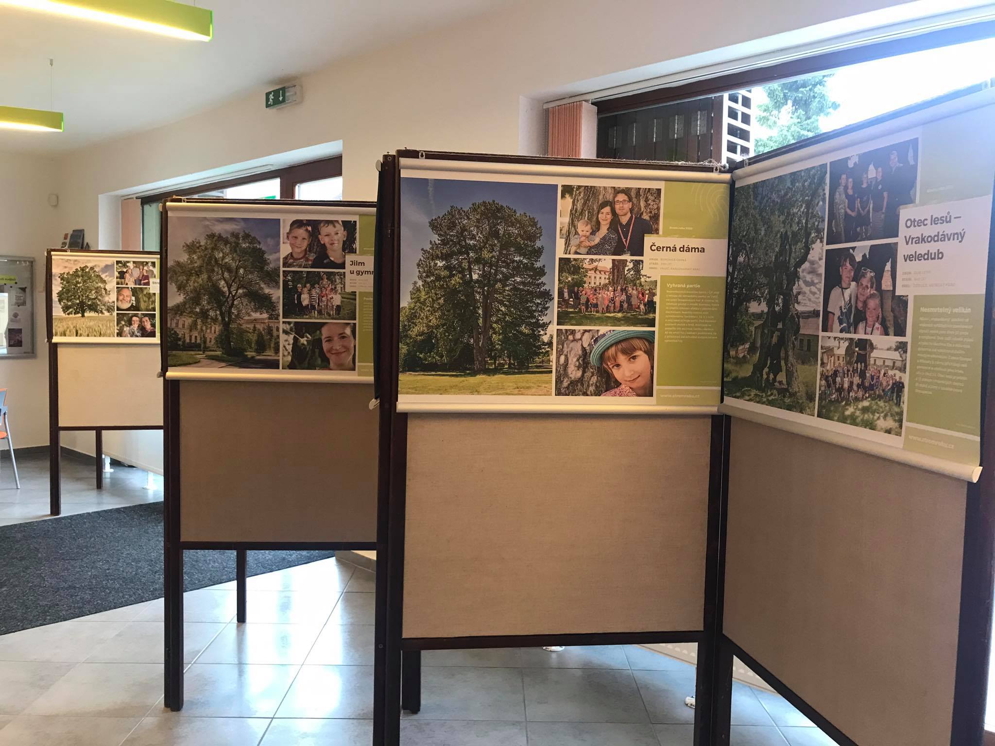 Město Bystré - Oficiální stránky města